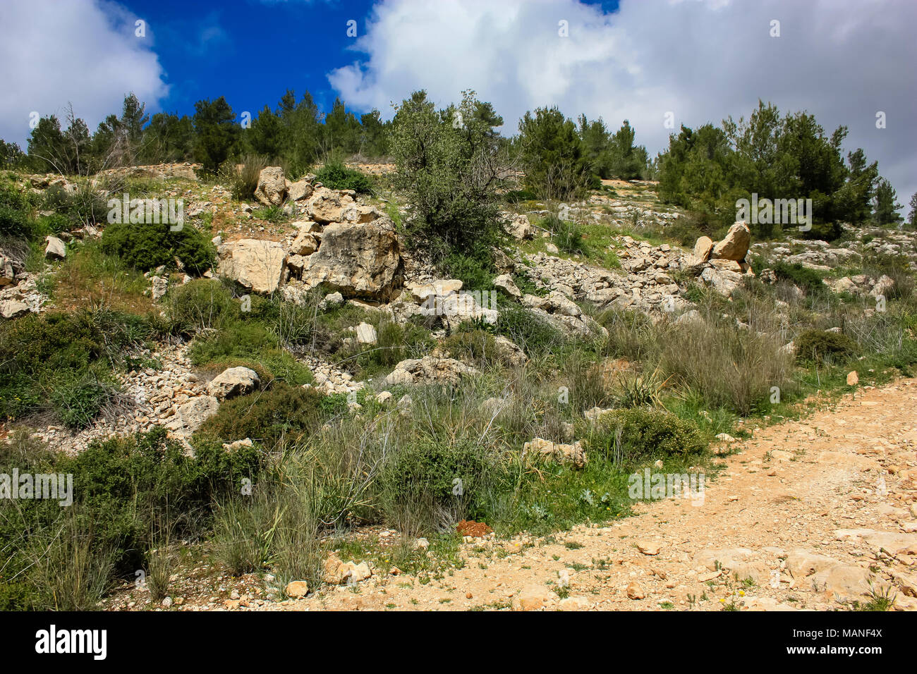Nature and landscape around Jerusalem in Israel Landscape and nature at ...