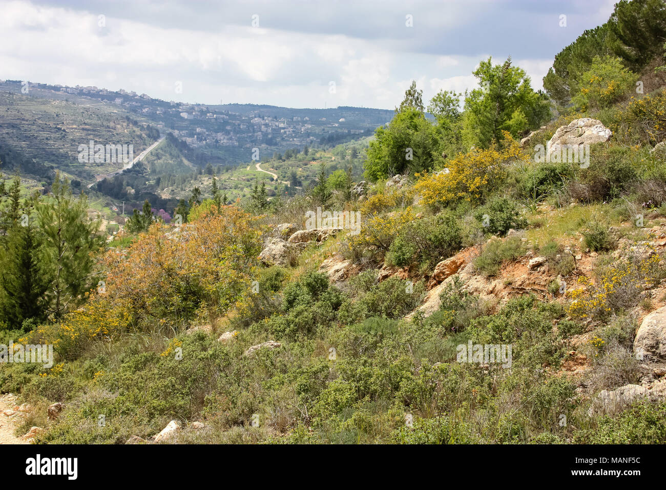Nature and landscape around Jerusalem in Israel Landscape and nature at ...