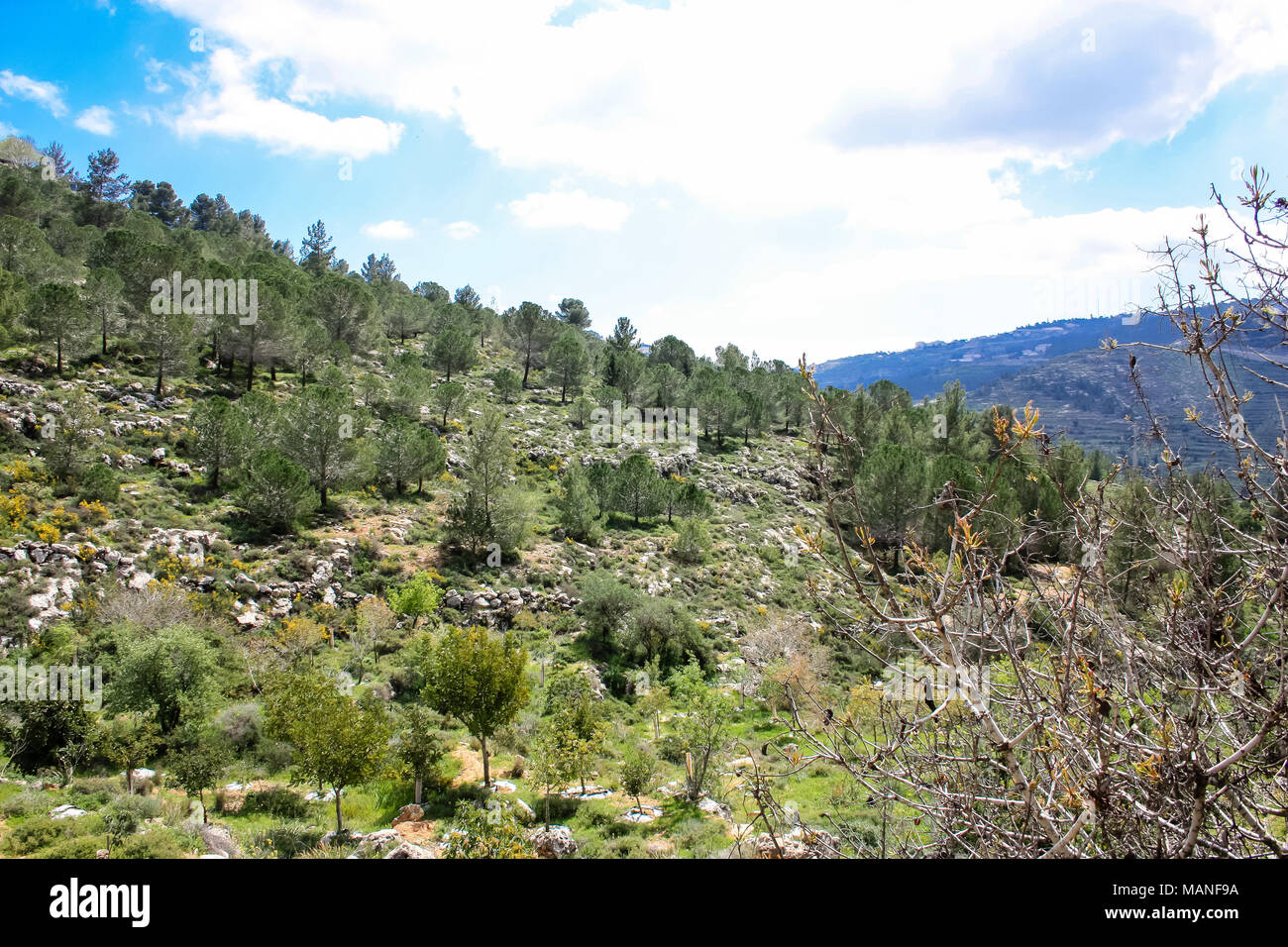 Nature and landscape around Jerusalem in Israel Landscape and nature at ...