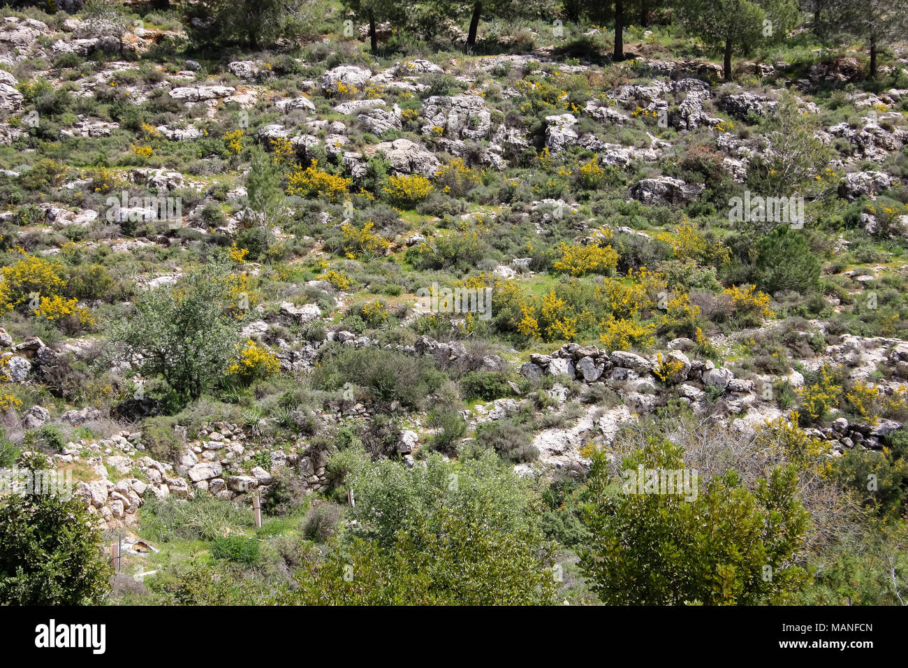Nature and landscape around Jerusalem in Israel Landscape and nature at ...