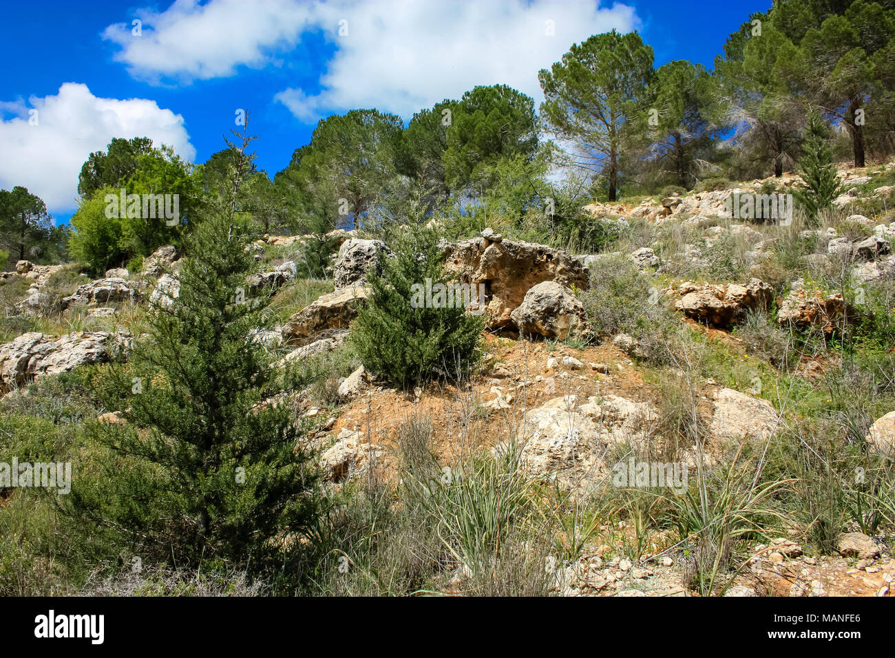 Nature and landscape around Jerusalem in Israel Landscape and nature at ...