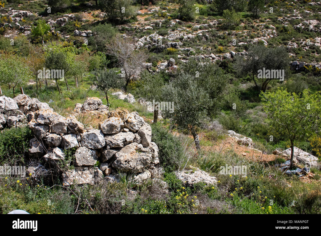 Nature and landscape around Jerusalem in Israel Landscape and nature at ...