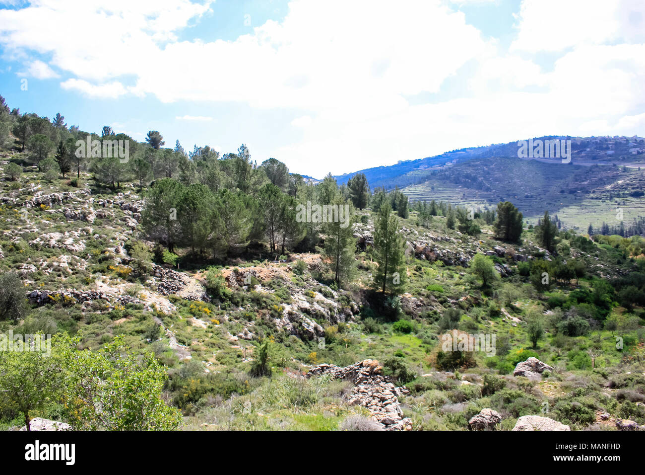 Nature and landscape around Jerusalem in Israel Landscape and nature at ...