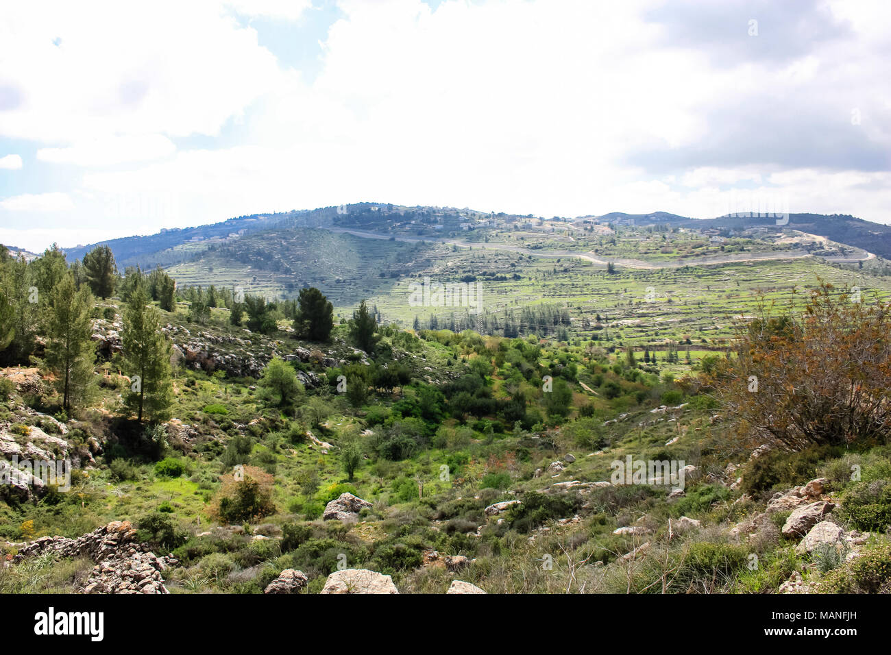 Nature and landscape around Jerusalem in Israel Landscape and nature at ...