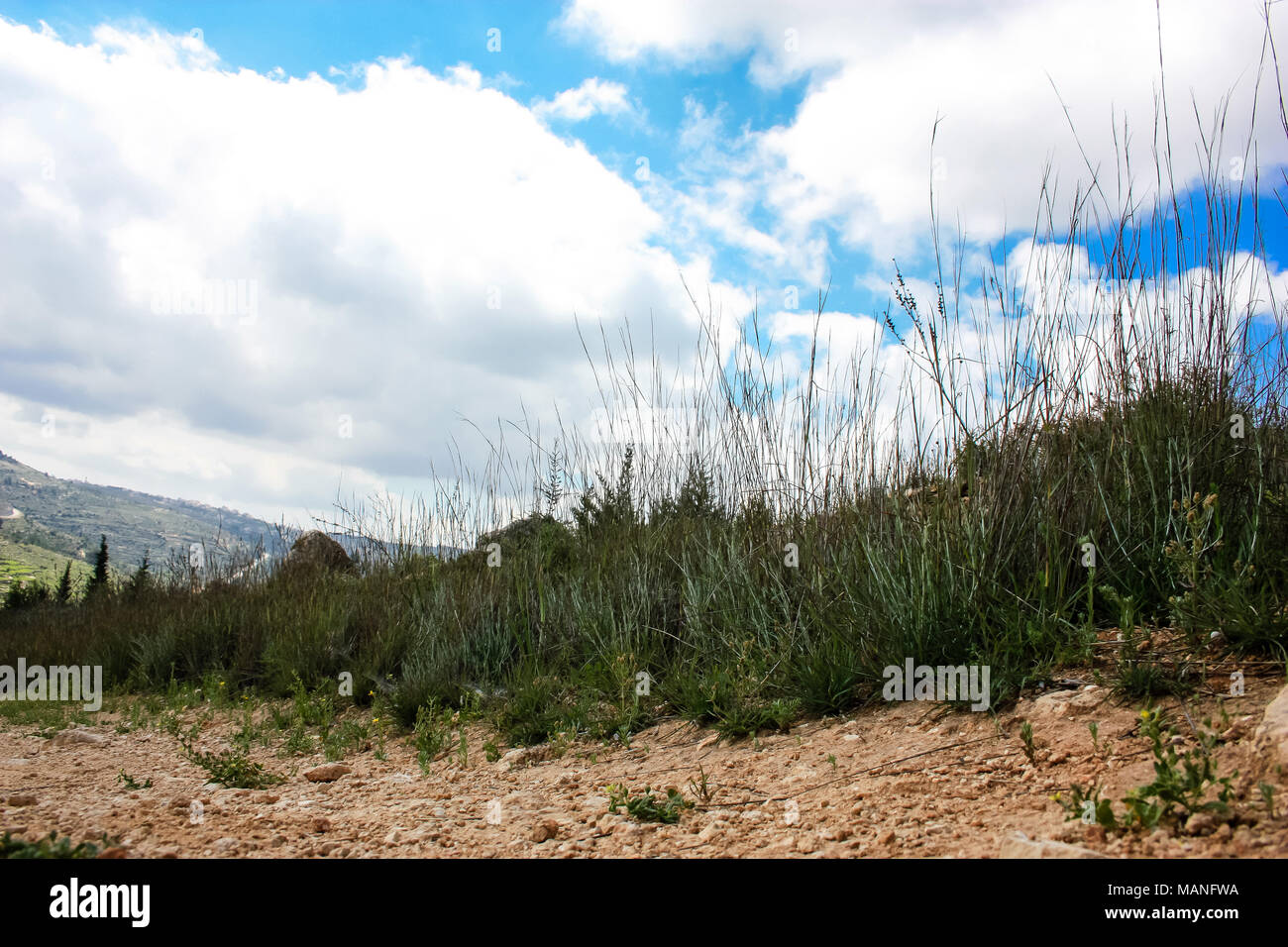 Nature and landscape around Jerusalem in Israel Landscape and nature at ...