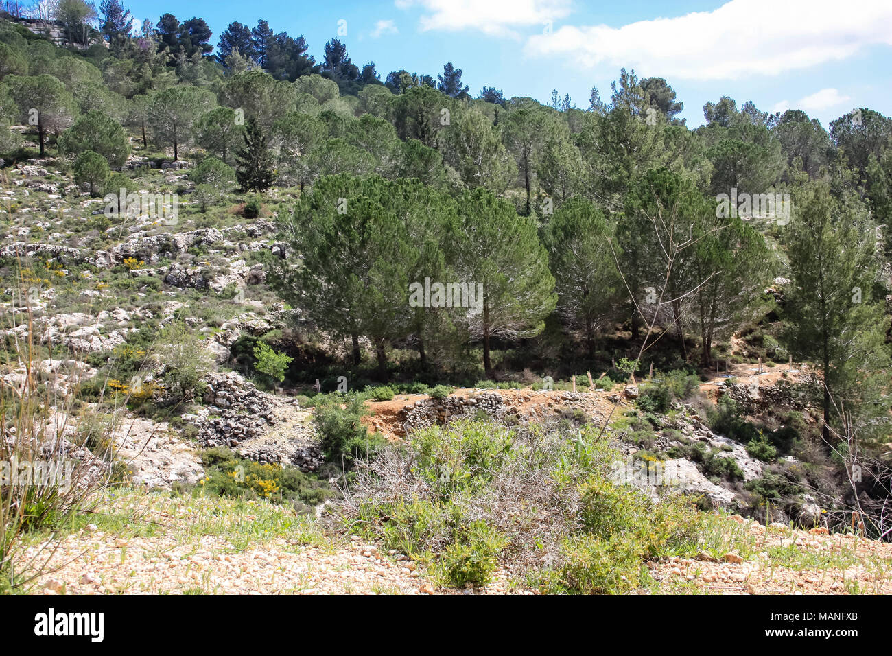Nature and landscape around Jerusalem in Israel Landscape and nature at ...