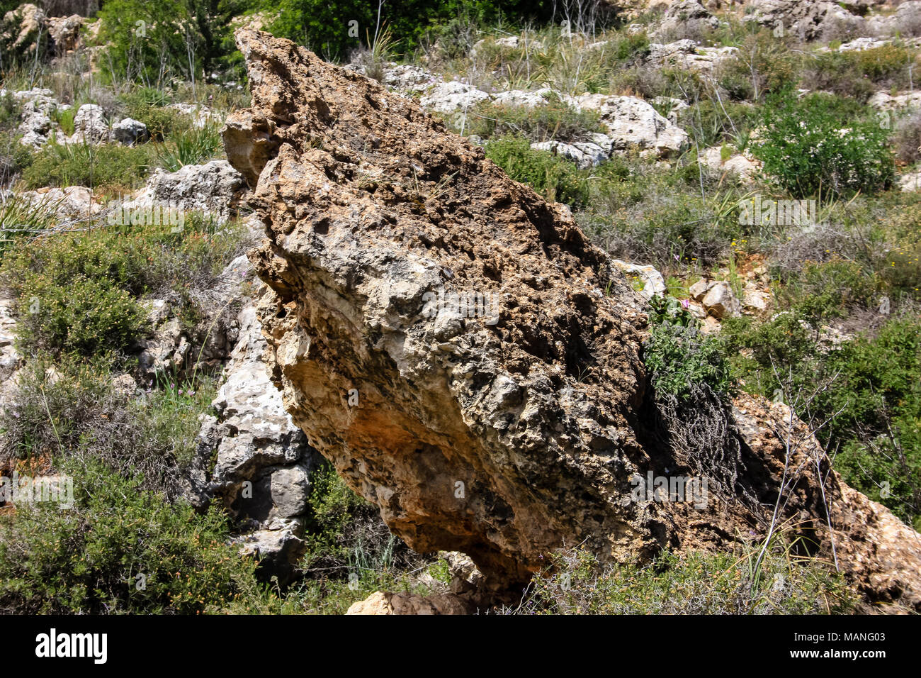 Nature and landscape around Jerusalem in Israel Landscape and nature at ...