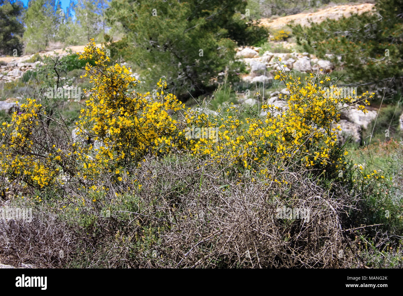 Nature and landscape around Jerusalem in Israel Landscape and nature at ...