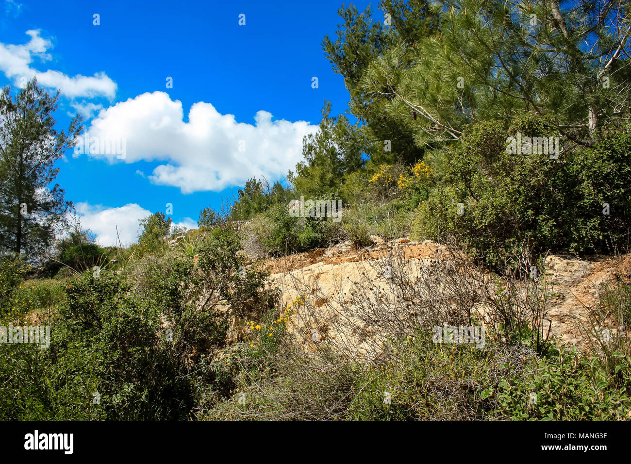 Nature and landscape around Jerusalem in Israel Landscape and nature at ...
