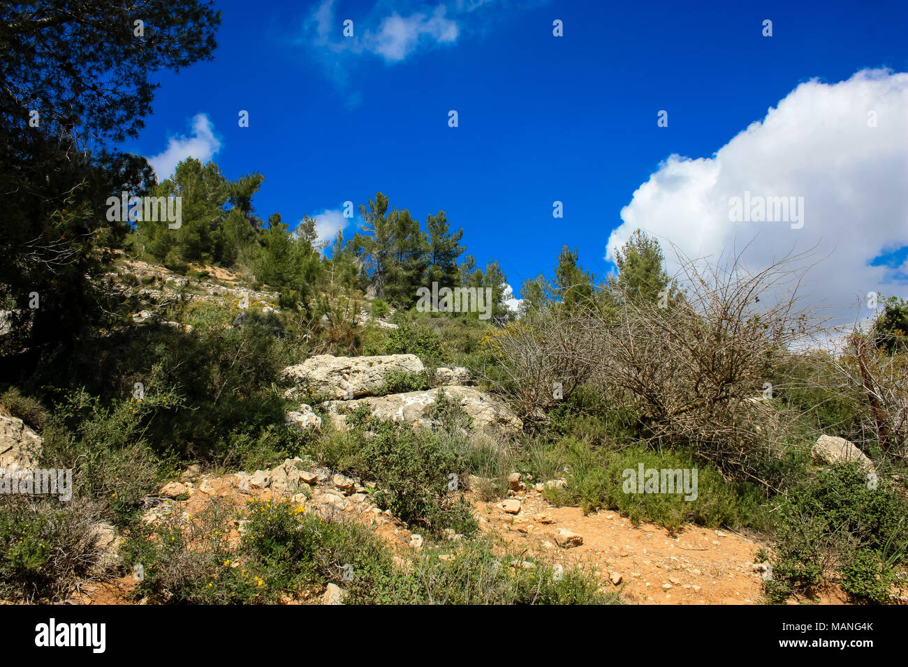 Nature and landscape around Jerusalem in Israel Landscape and nature at ...