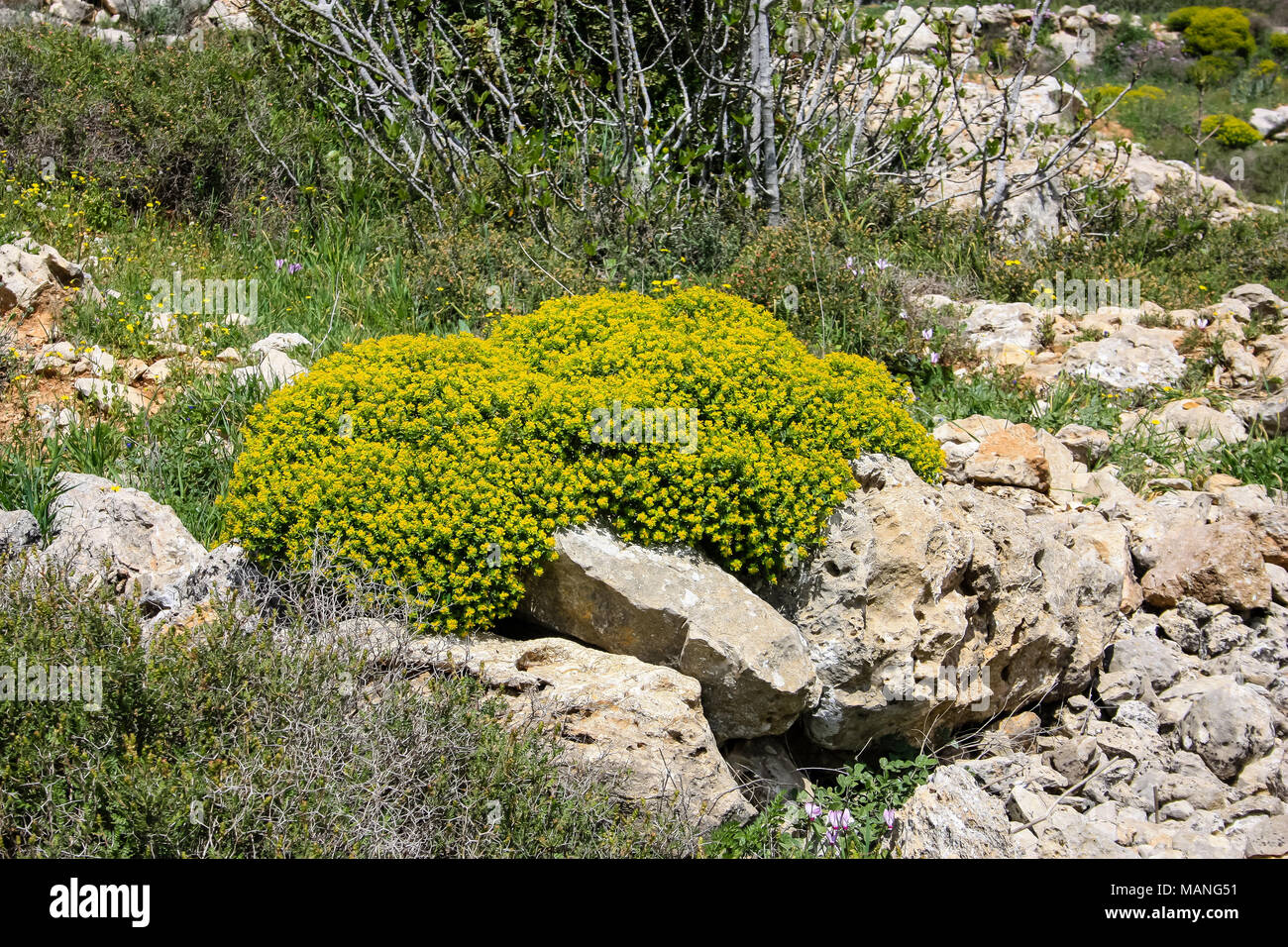 Nature and landscape around Jerusalem in Israel Landscape and nature at ...