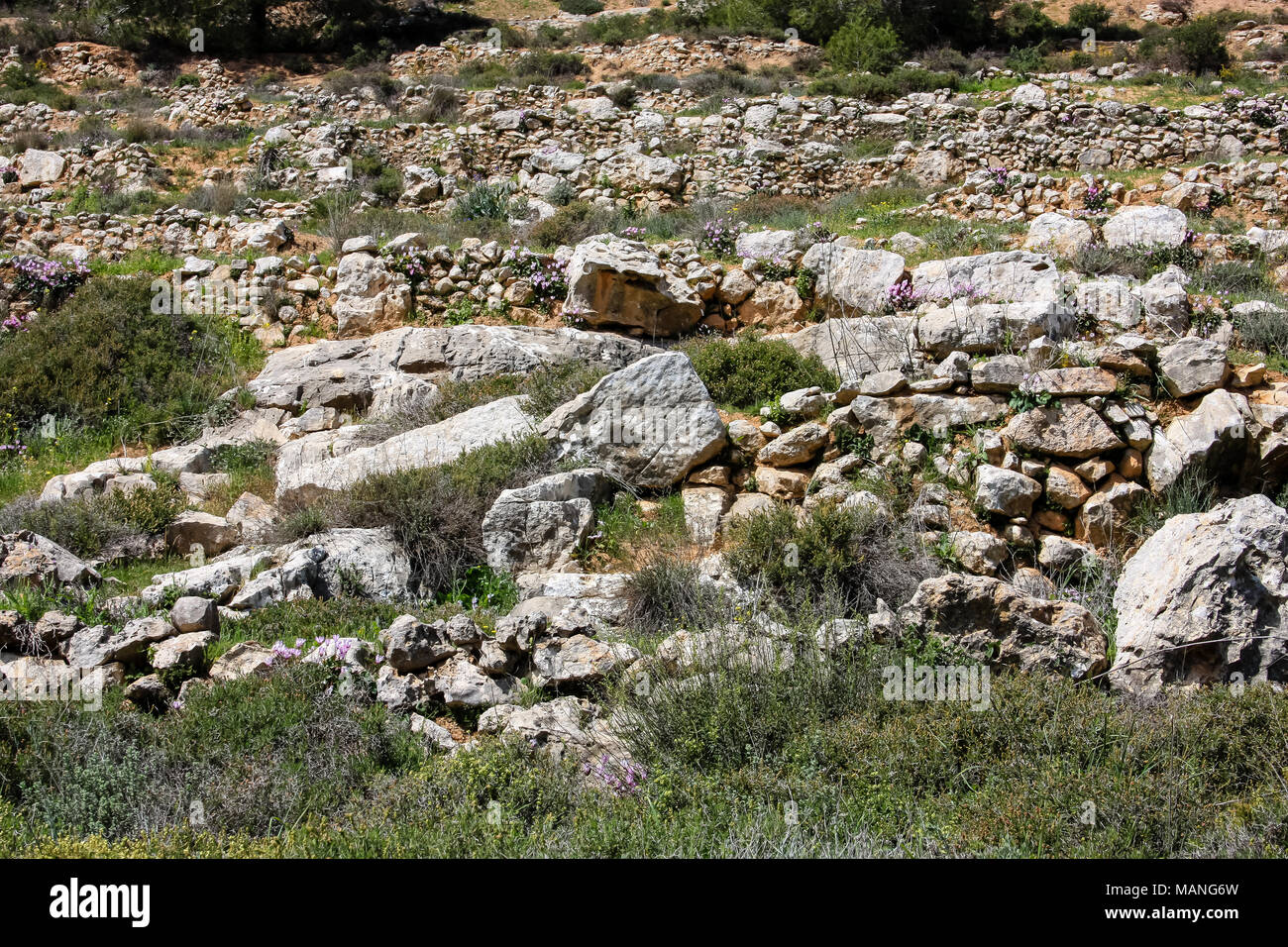 Nature and landscape around Jerusalem in Israel Landscape and nature at ...