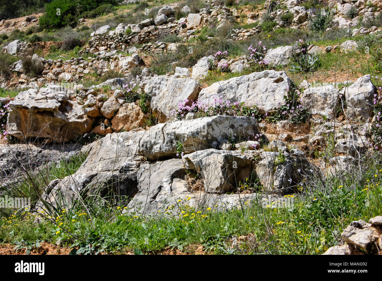 Nature and landscape around Jerusalem in Israel Landscape and nature at ...