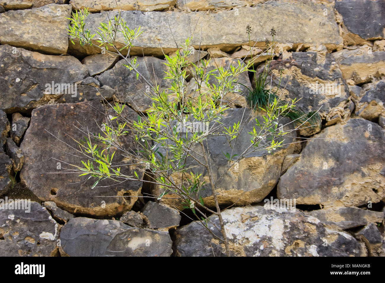 Nature and landscape around Jerusalem in Israel Landscape and nature at ...