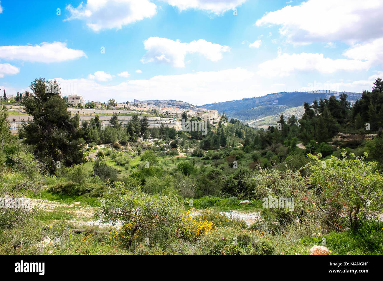 Nature and landscape around Jerusalem in Israel Landscape and nature at ...