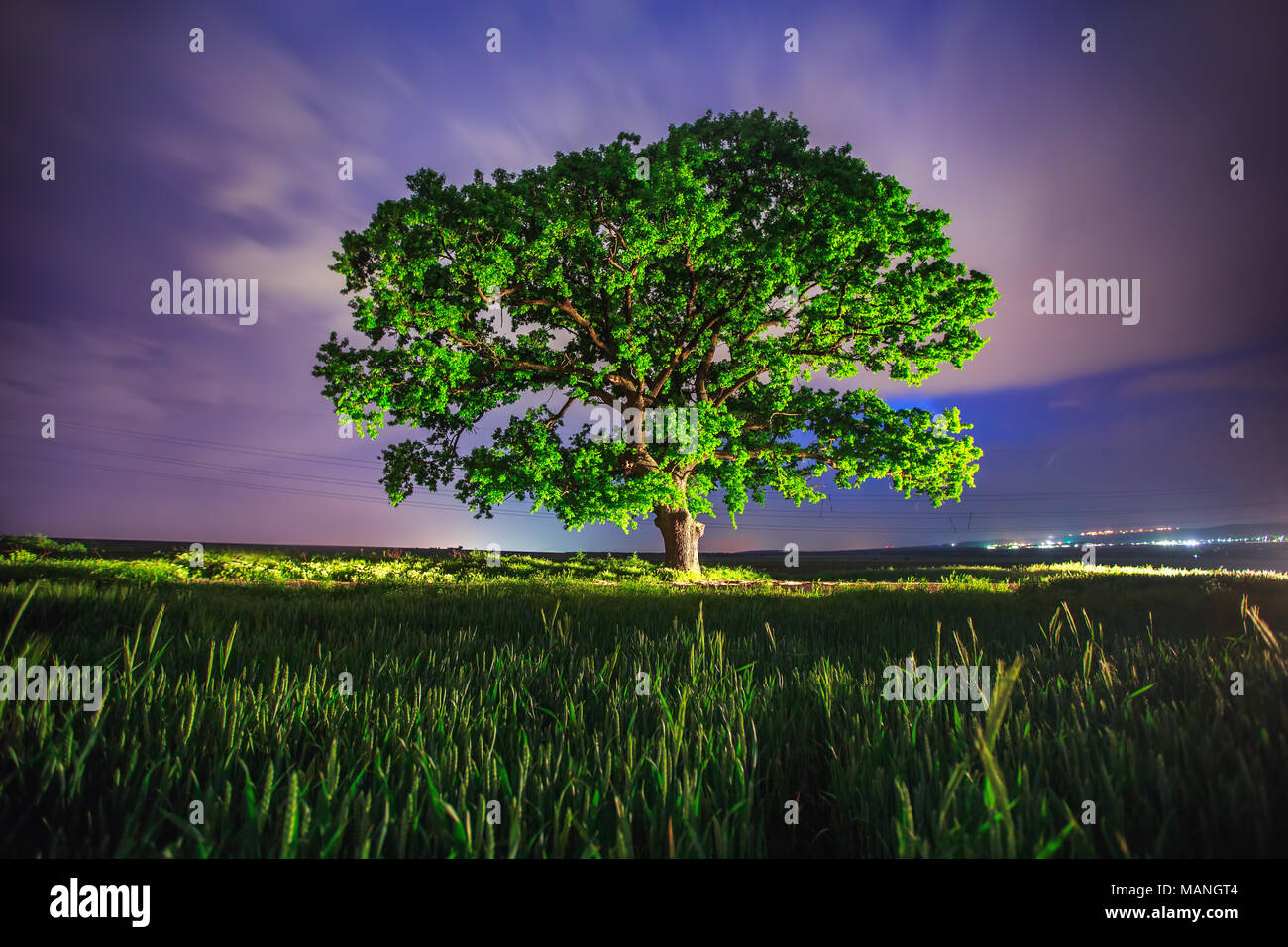 Green flash twilight hi-res stock photography and images - Alamy