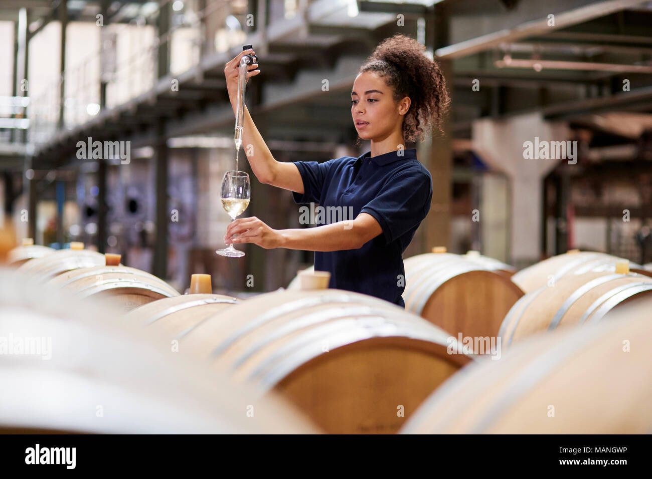 Young woman testing wine in a wine factory warehouse Stock Photo - Alamy