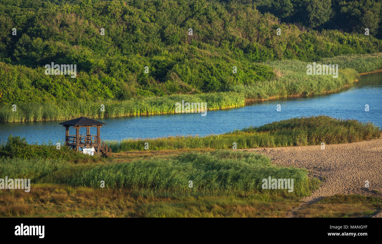 Beautiful river bed in the summer season Stock Photo - Alamy