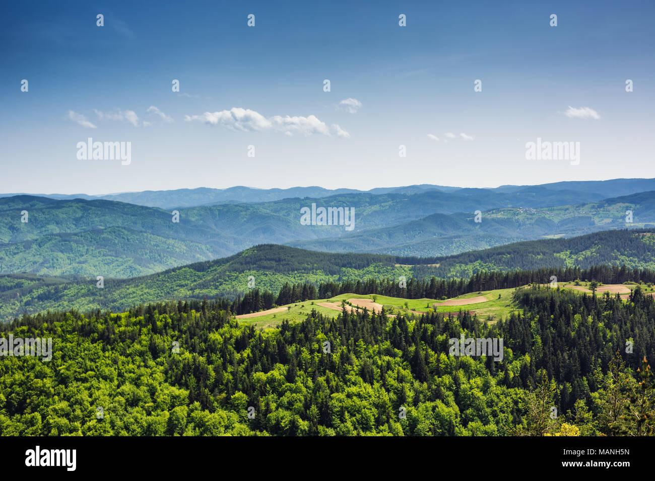 Wilderness trees forest hills scenic nature hi-res stock photography ...