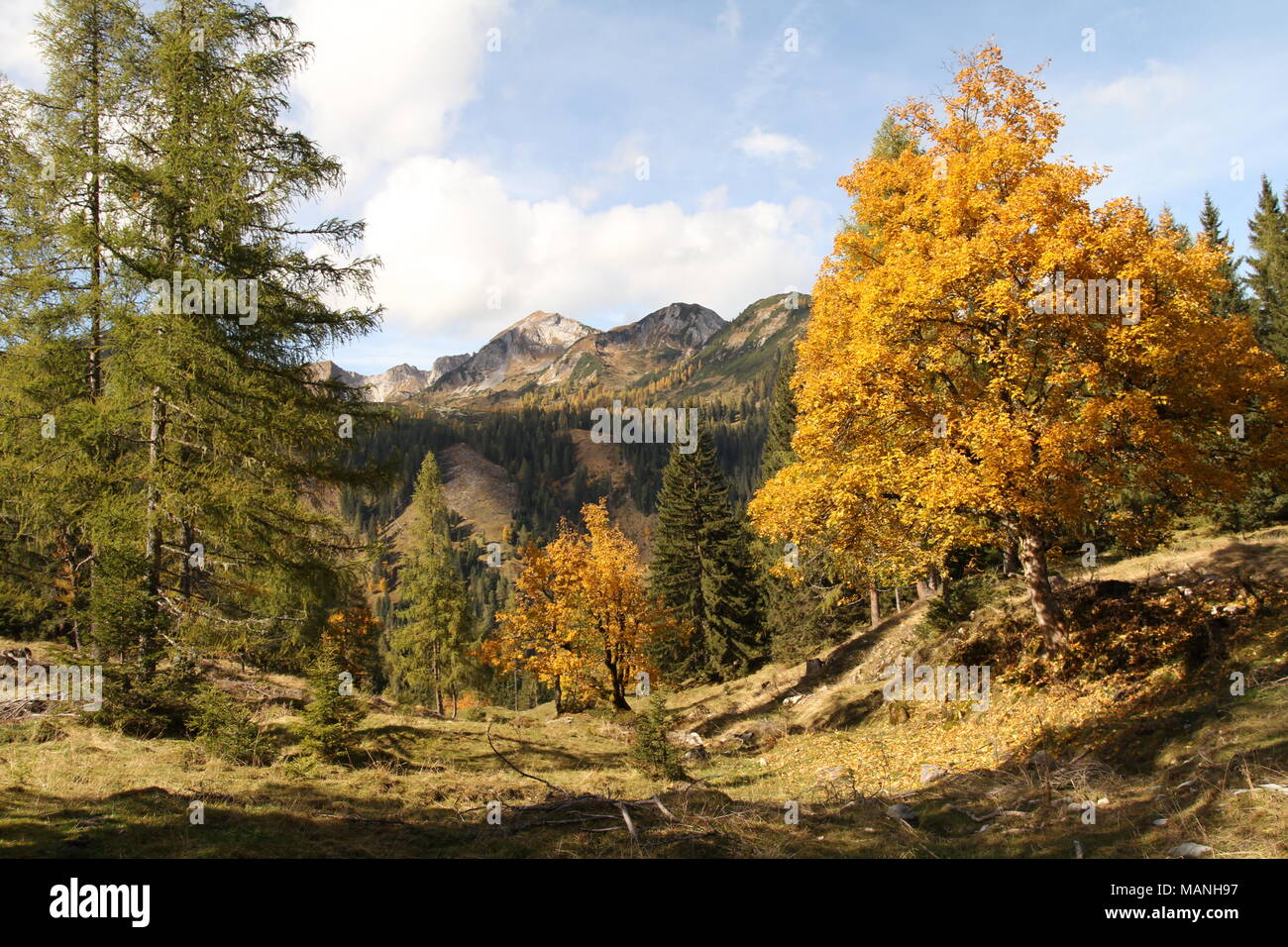 Alpine scene hi-res stock photography and images - Alamy