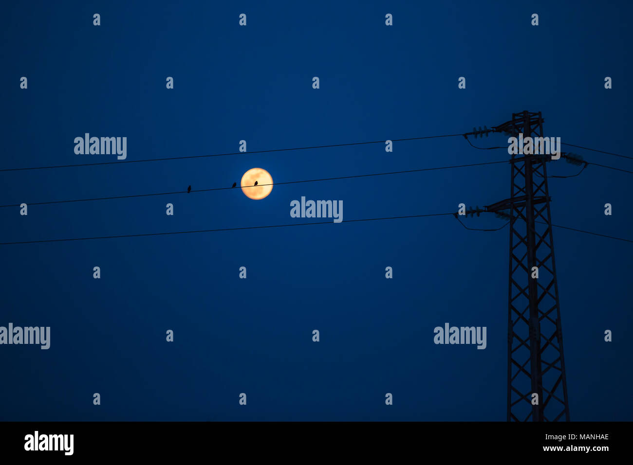 Night of power hi-res stock photography and images - Alamy