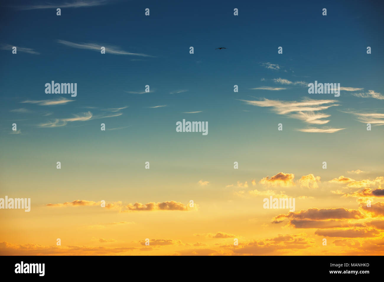 Dramatic skylight hi-res stock photography and images - Alamy