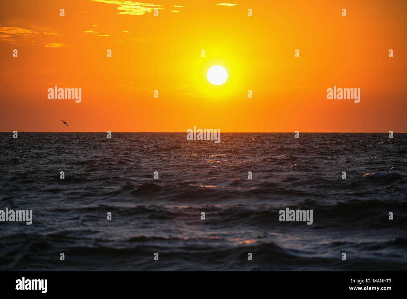 Beautiful shot sunlight shining hi-res stock photography and images - Alamy