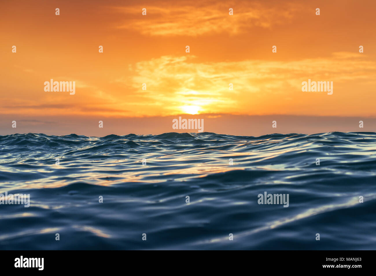 Sunrise light shining on ocean wave Stock Photo - Alamy