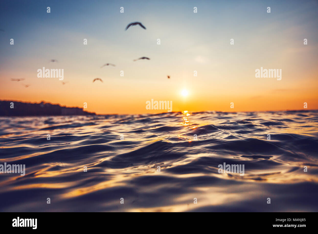 Sunrise light shining on ocean wave Stock Photo - Alamy