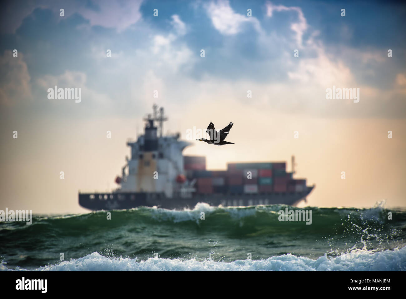 Sun setting at the sea with sailing cargo ship, scenic view Stock Photo ...