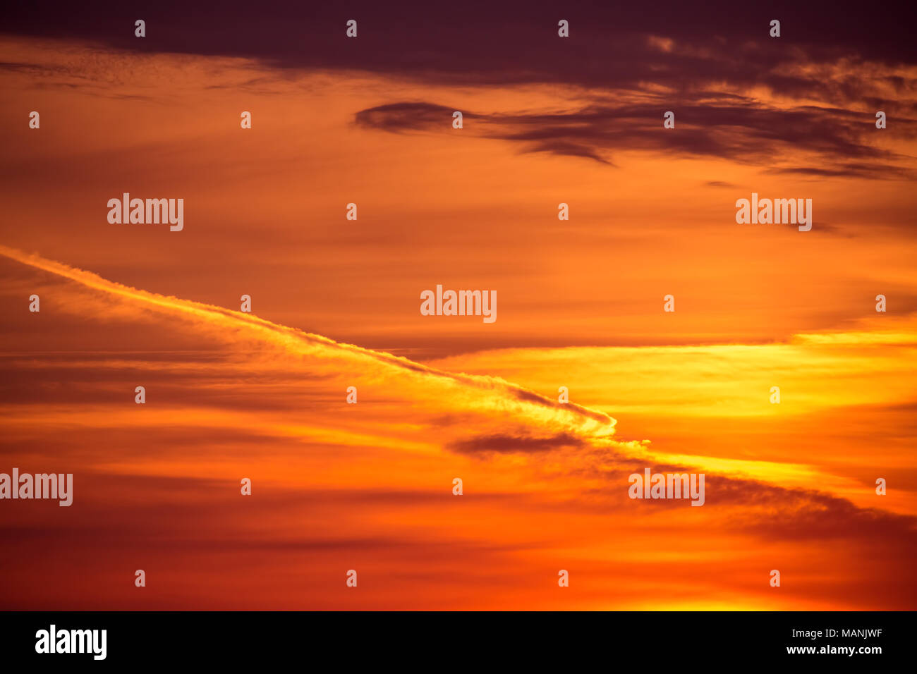 Red sun over horizon bird hi-res stock photography and images - Alamy