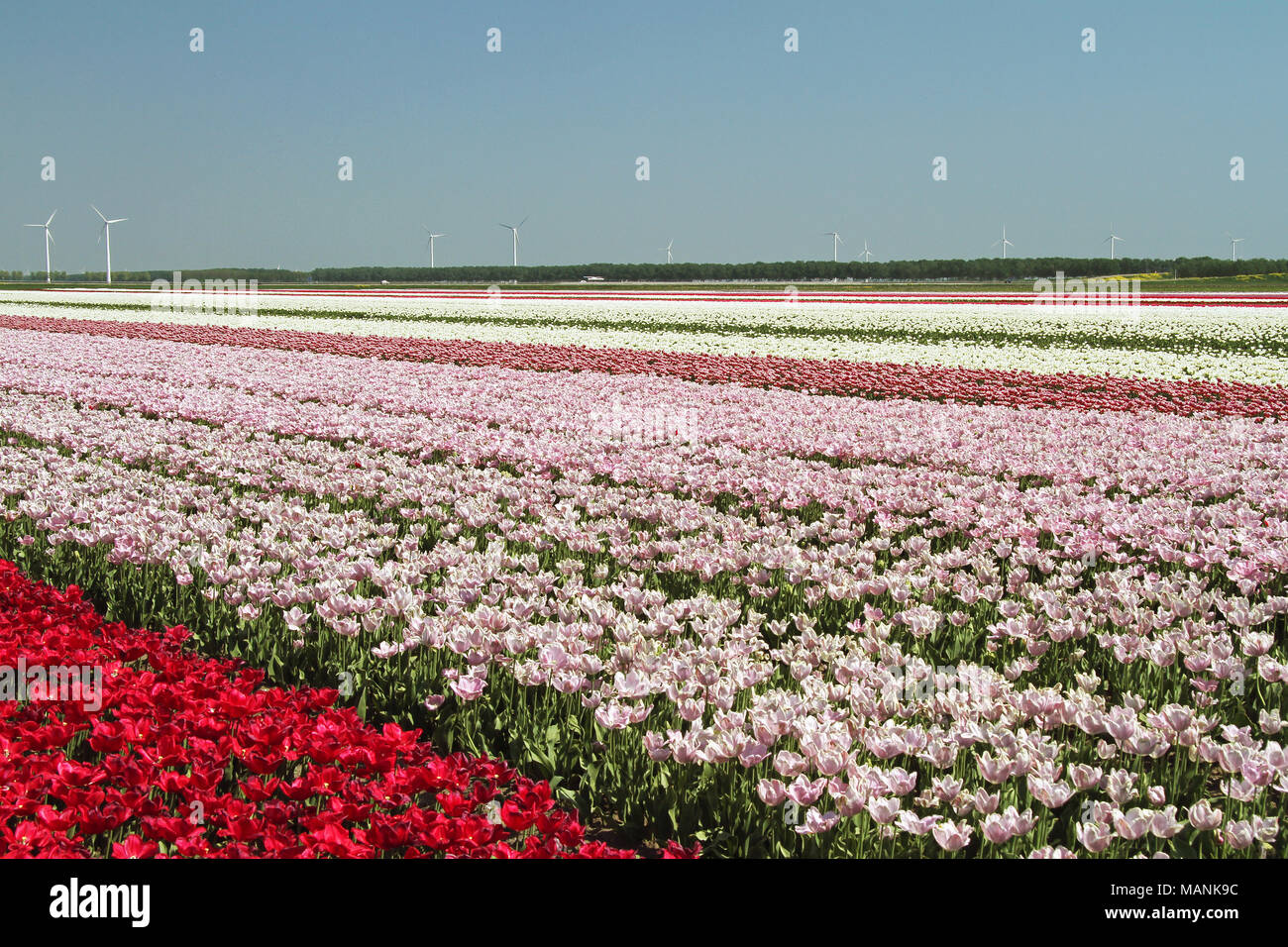 Floriade almere hi-res stock photography and images - Alamy