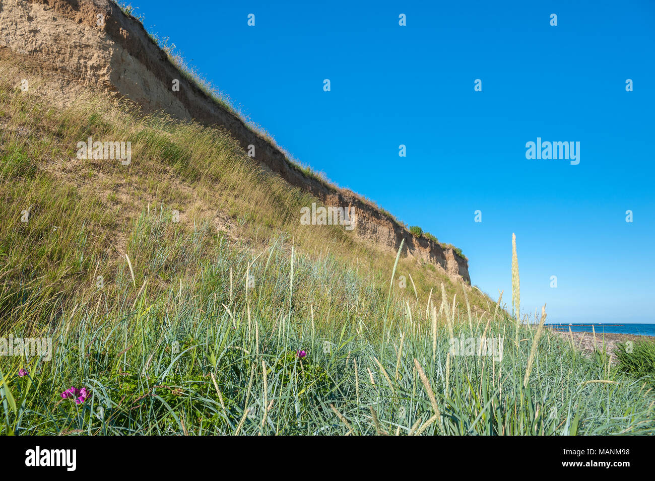 Baltic coast schleswig holstein hi-res stock photography and images - Alamy