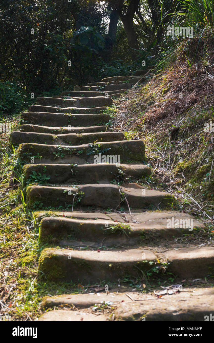 Old, worn down, uneven stone steps with moss on the sides winding ...