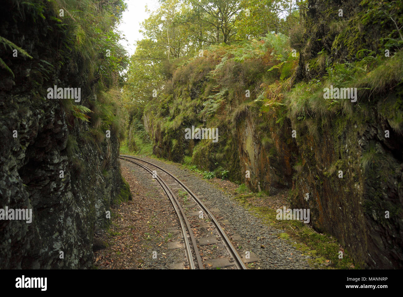 Vale of rheidol railway hi-res stock photography and images - Alamy