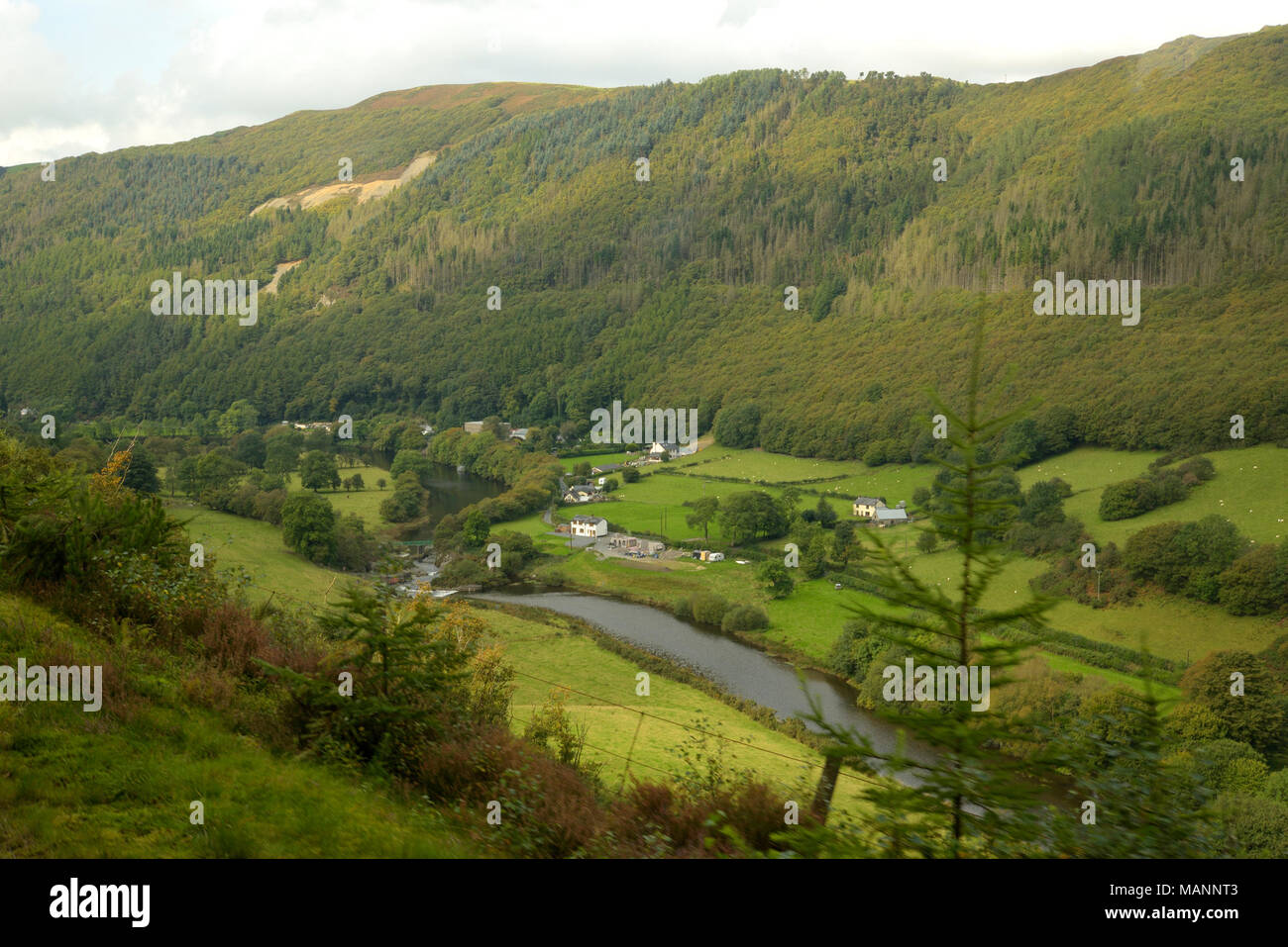 Rheidol River High Resolution Stock Photography and Images - Alamy