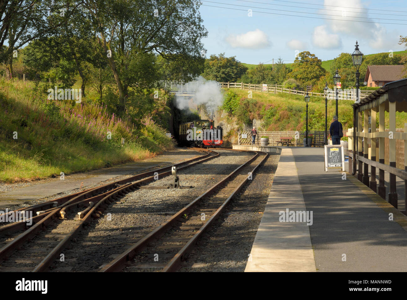 Great Western Engine approaches Devil's Bridge Station on the Vale of ...