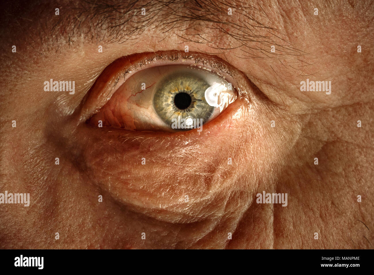 Serious eyeball hi-res stock photography and images - Alamy