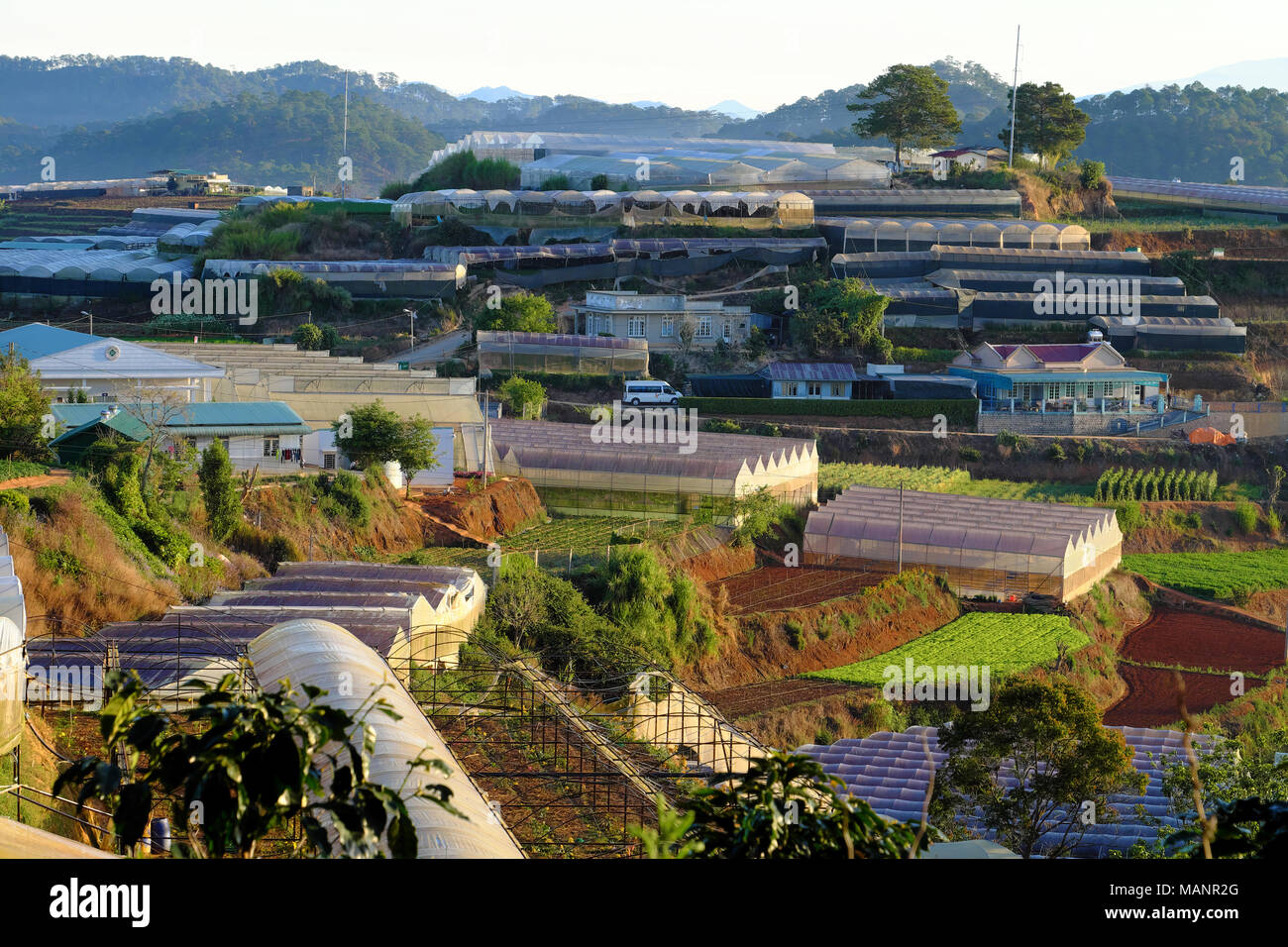 Agricultural area at Da Lat countryside, Viet Nam, hills and mountains ...