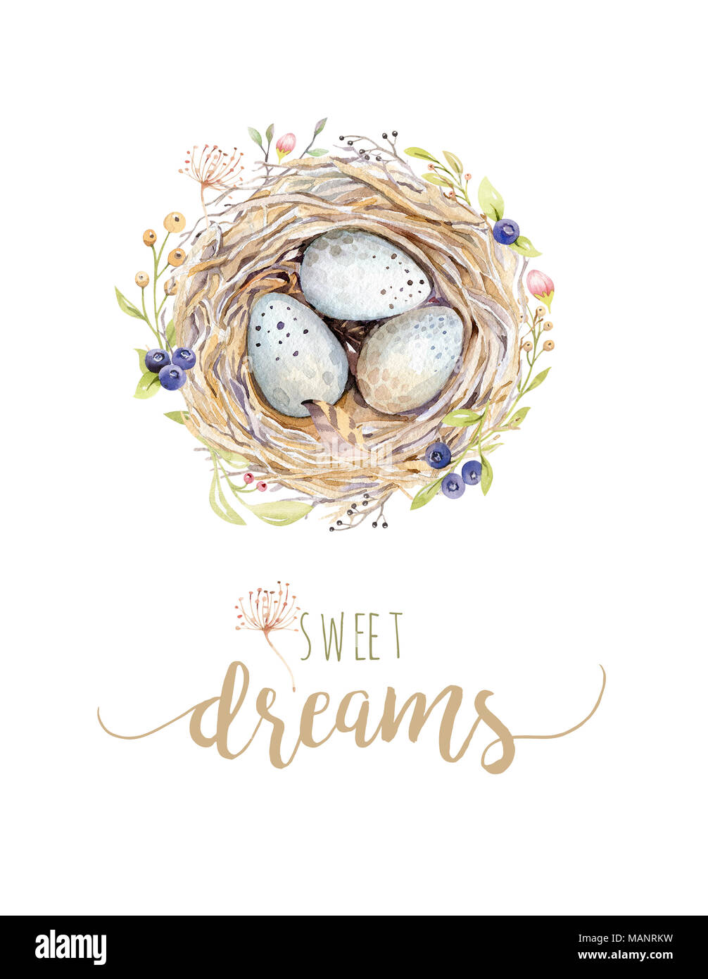 Hand drawing happy easter watercolor bird net with eggs, leaves ...