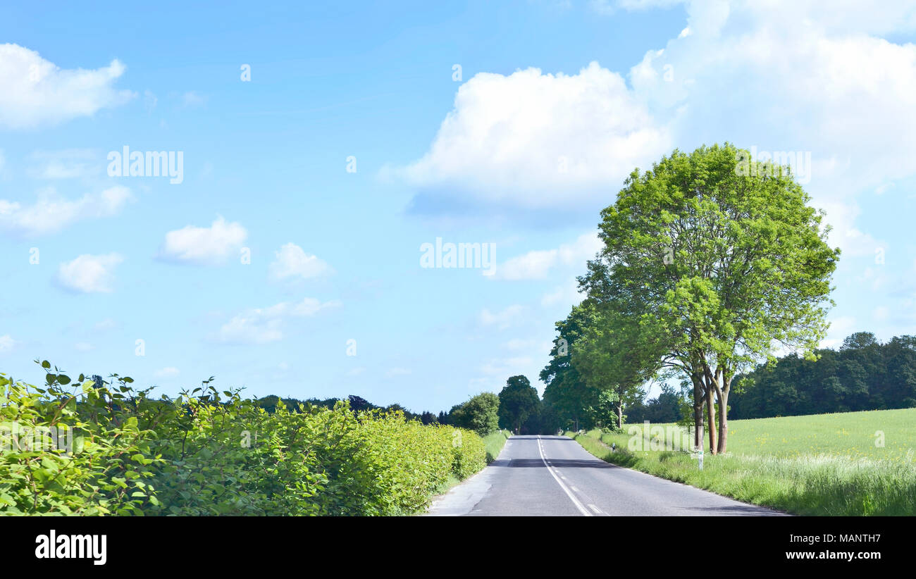 Idyllic country road or highway through green field and meadows ...
