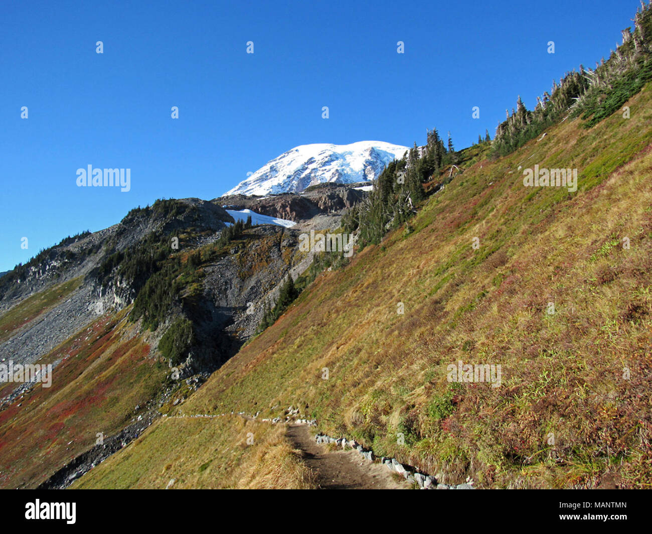 Autumn at Golden Gate Trail at Mt Rainier NP in Stock Photo - Alamy