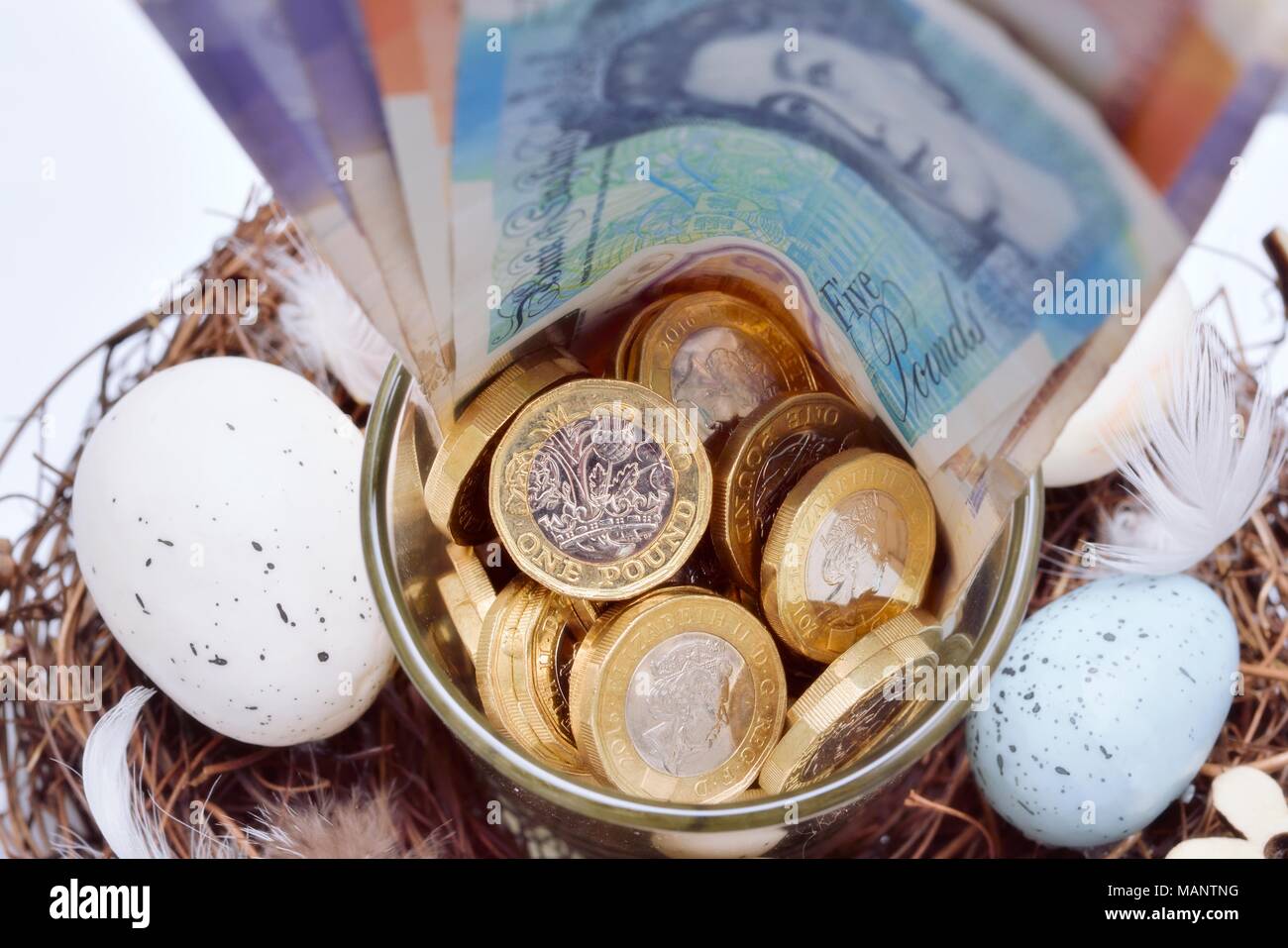 Nest egg concept Stock Photo - Alamy
