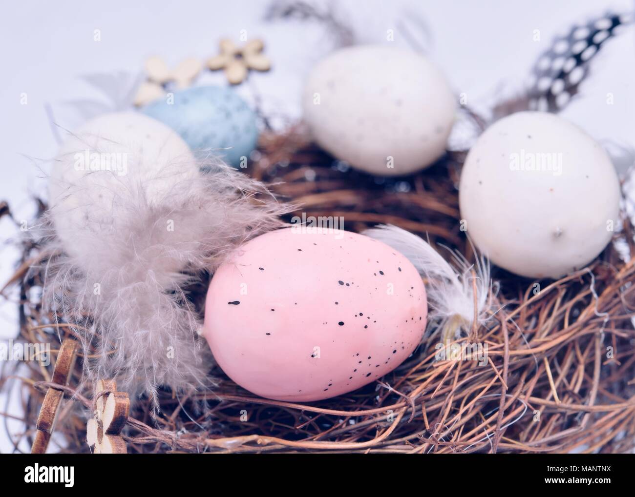 Nest egg concept Stock Photo - Alamy