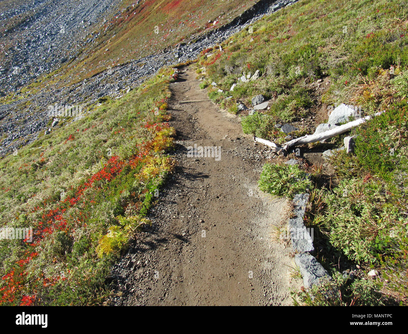 Autumn at Golden Gate Trail at Mt Rainier NP in Stock Photo - Alamy