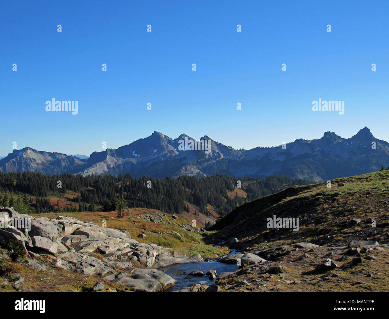 Autumn at Golden Gate Trail at Mt Rainier NP in Stock Photo - Alamy