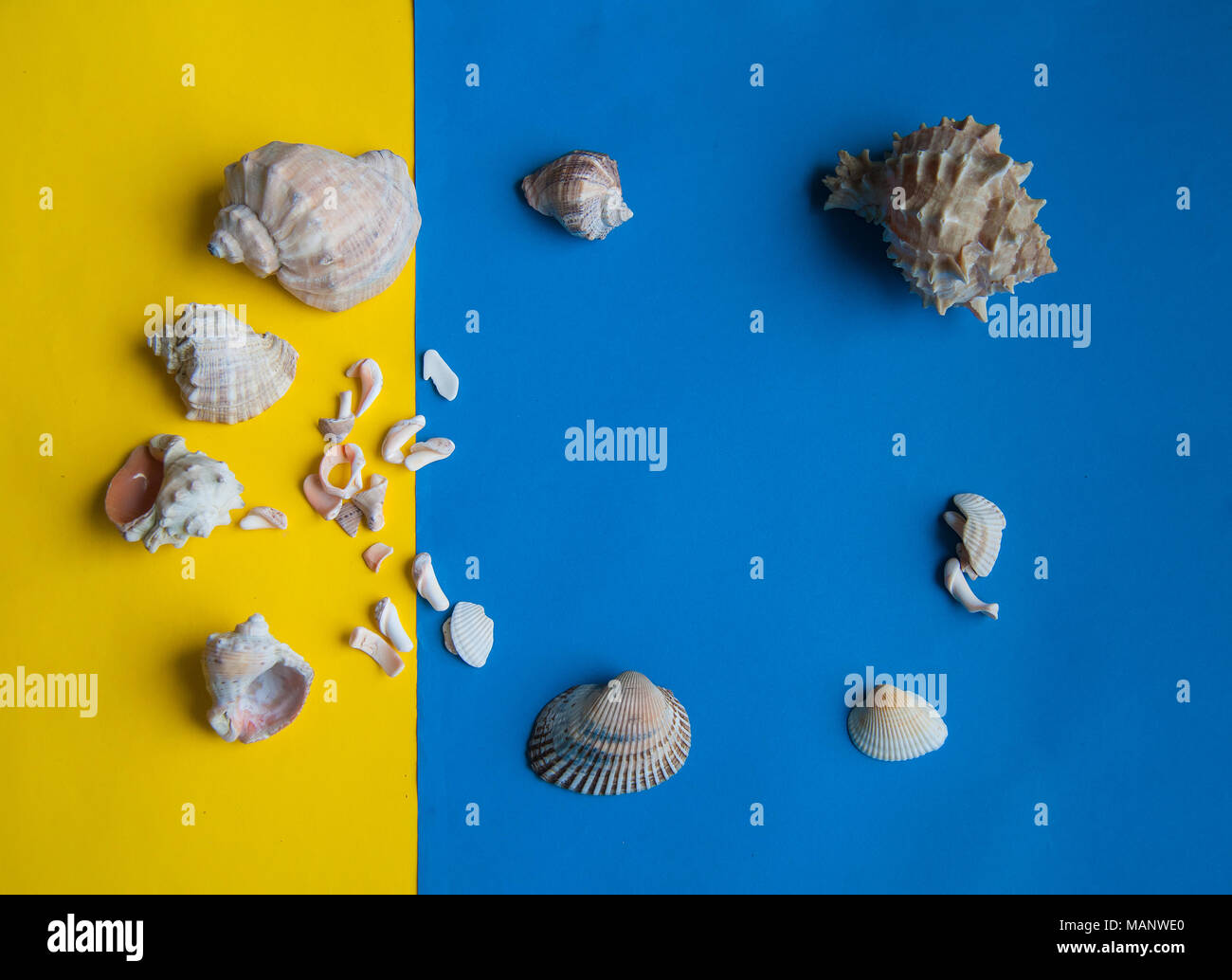 Seashell circle hi-res stock photography and images - Alamy
