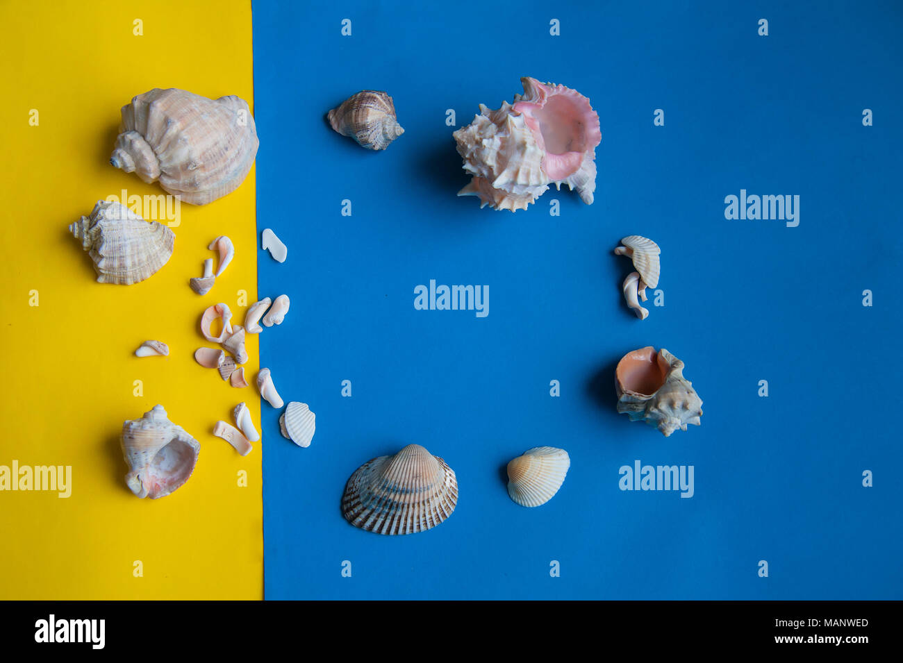 Shells lie in a circle Stock Photo - Alamy