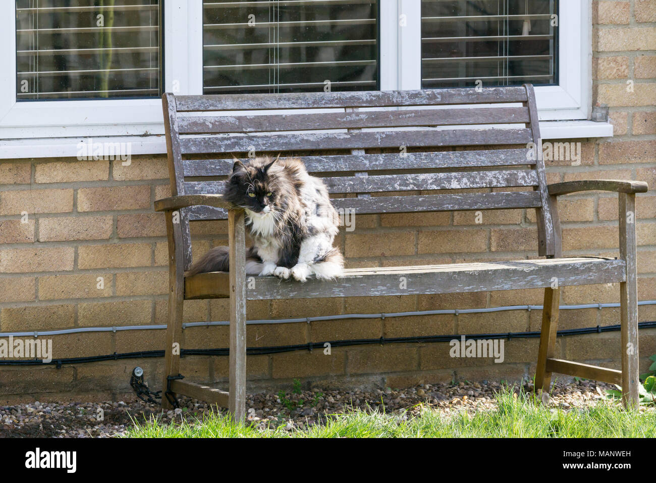 Enjoying the sunshine hi-res stock photography and images - Alamy