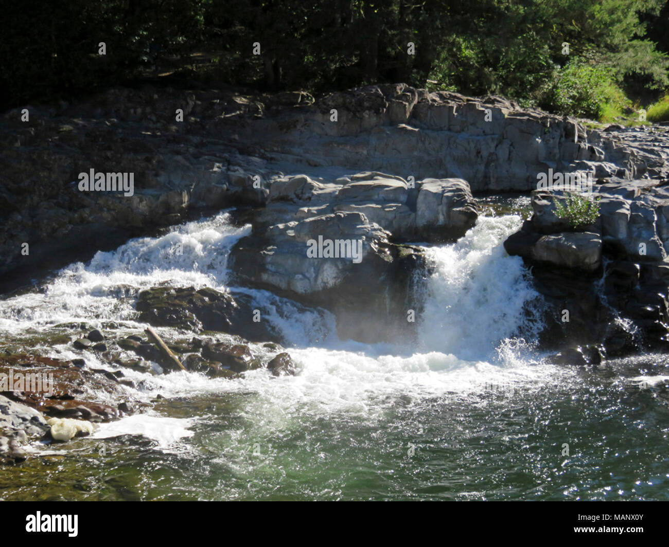 Lucia Falls Park at Lewis River in WA Stock Photo - Alamy